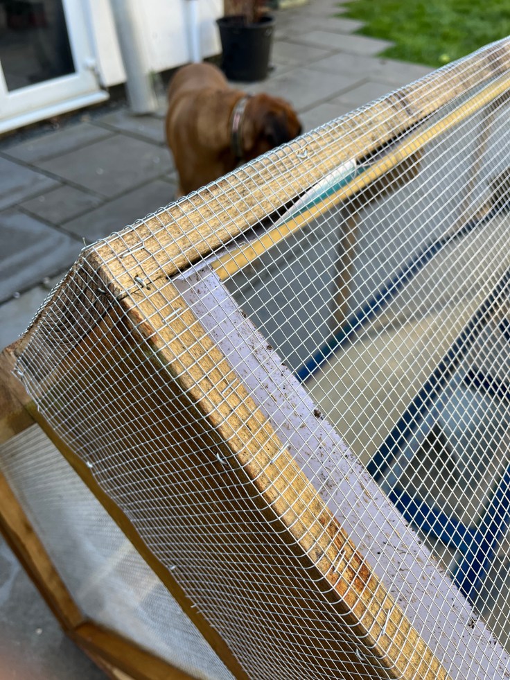 Updating my Tortoise Enclosure- rodent-proofing, painting, equipment ...