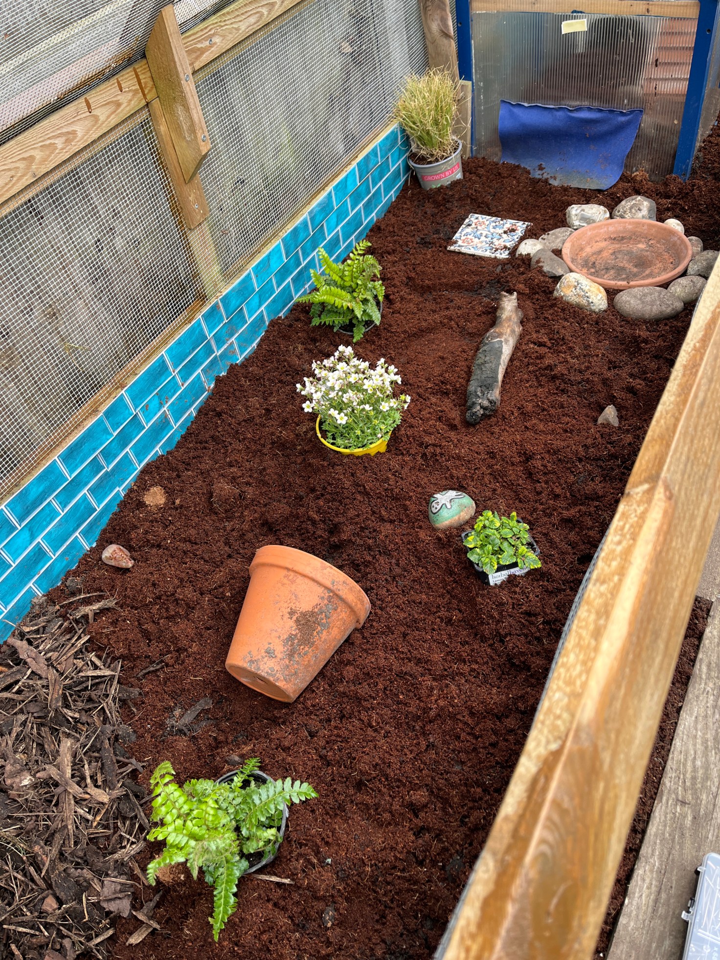 Updating my Tortoise Enclosure- rodent-proofing, painting, equipment ...