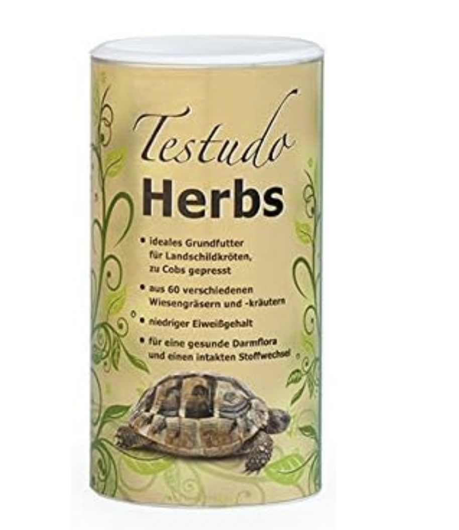 What to feed your tortoise in winter (UK) – All Homesteading
